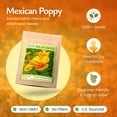 Created By Nature Mexican Poppy Seeds, 1,620 Annual Wildflower Seeds ...