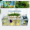 Free Shipping! Penn-Plax Aquaterrium Tank - Hydroponic Glass Aquarium ...