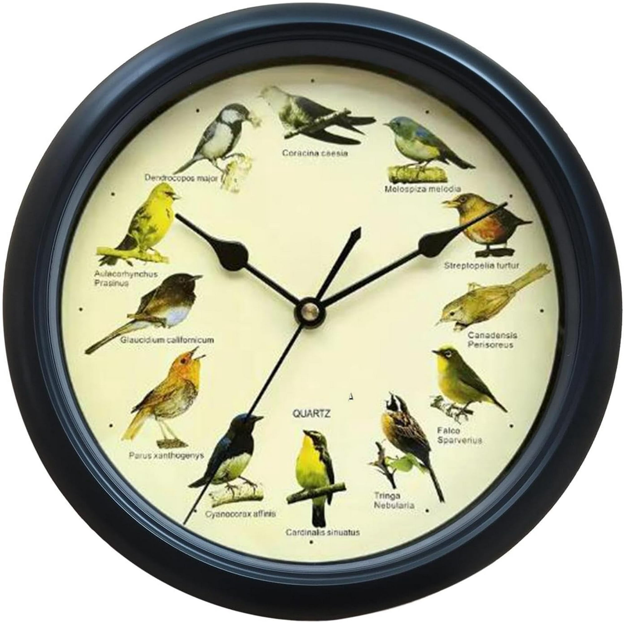 Click here for Nobrand Singing Wild Bird Wall Clock  Room Decorat... prices