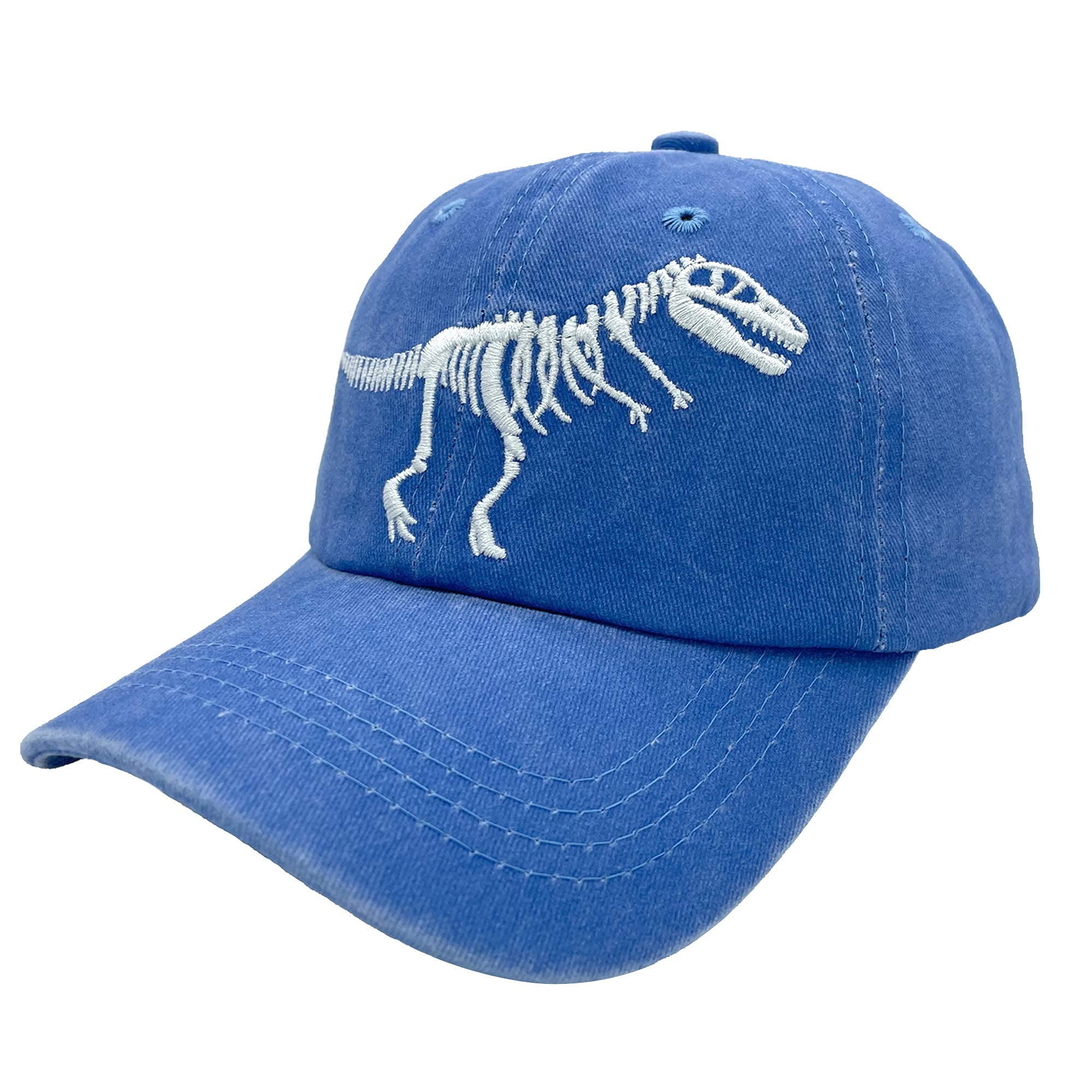Boys' Skull Dinosaur Hat Washed Vintage Embroidered Baseball Cap ...
