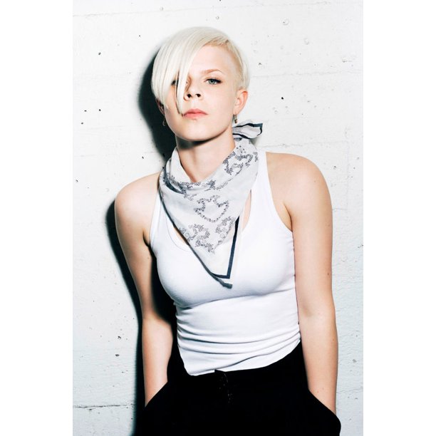 Robyn Poster 16"x24" Poster Medium Art Poster 16x24 Multi-Color Square ...
