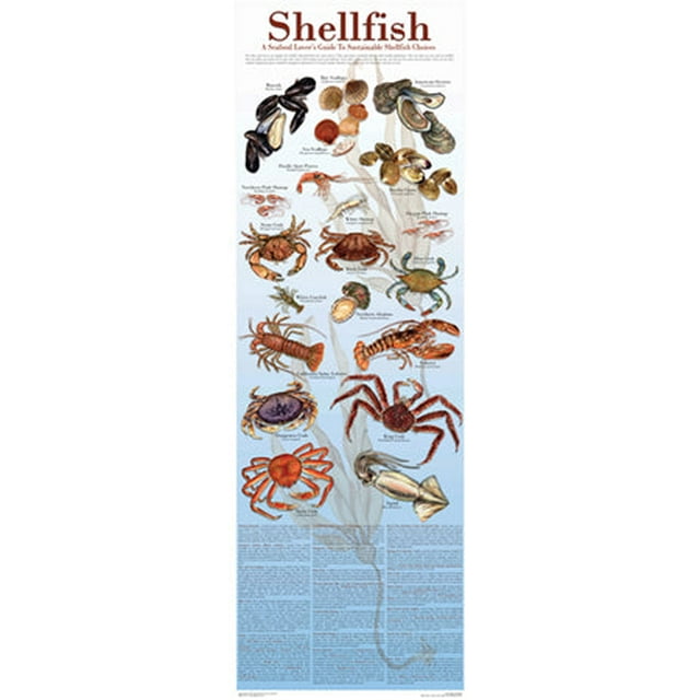 Seafood Poster and Guide To Sustainable Shellfish 12x36 - Walmart.com