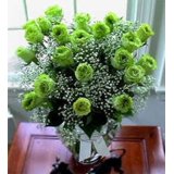 5 Green Rose Rosa Bush Shrub Perennial Flower Seeds - Fragrant Double ...