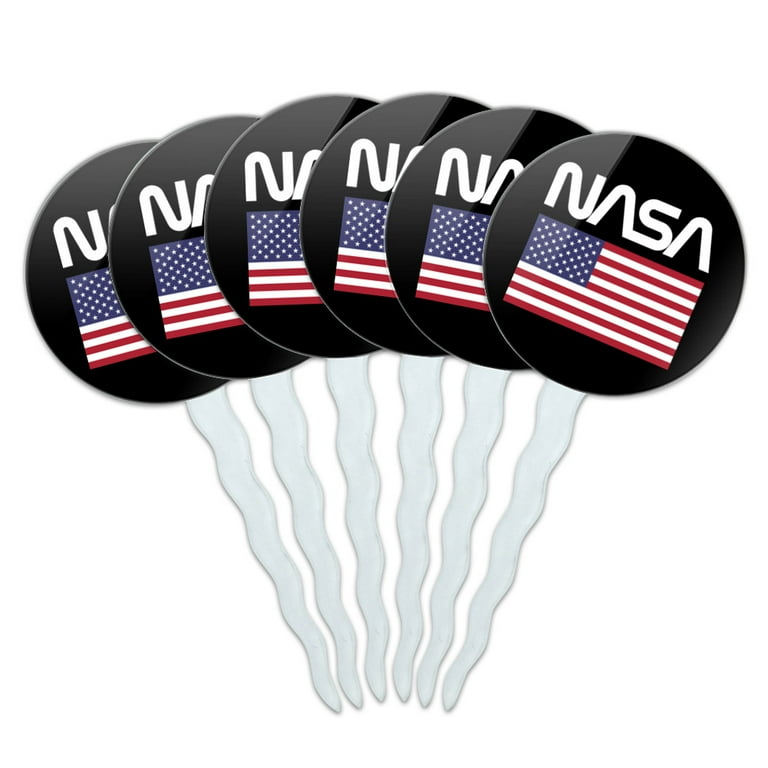 Official Nasa Logo