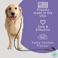 PET CARE Sciences Dog Incontinence Supplement – Bladder Control for ...