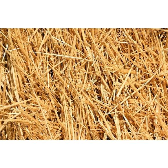 Grass Seed Straw