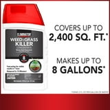Eliminator Weed Grass Killer Concentrate Herbicide 16 oz Kills Roots ...