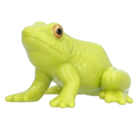 Bullfrog Model, Soft Children Bullfrog Model Unique Molded Textures For ...