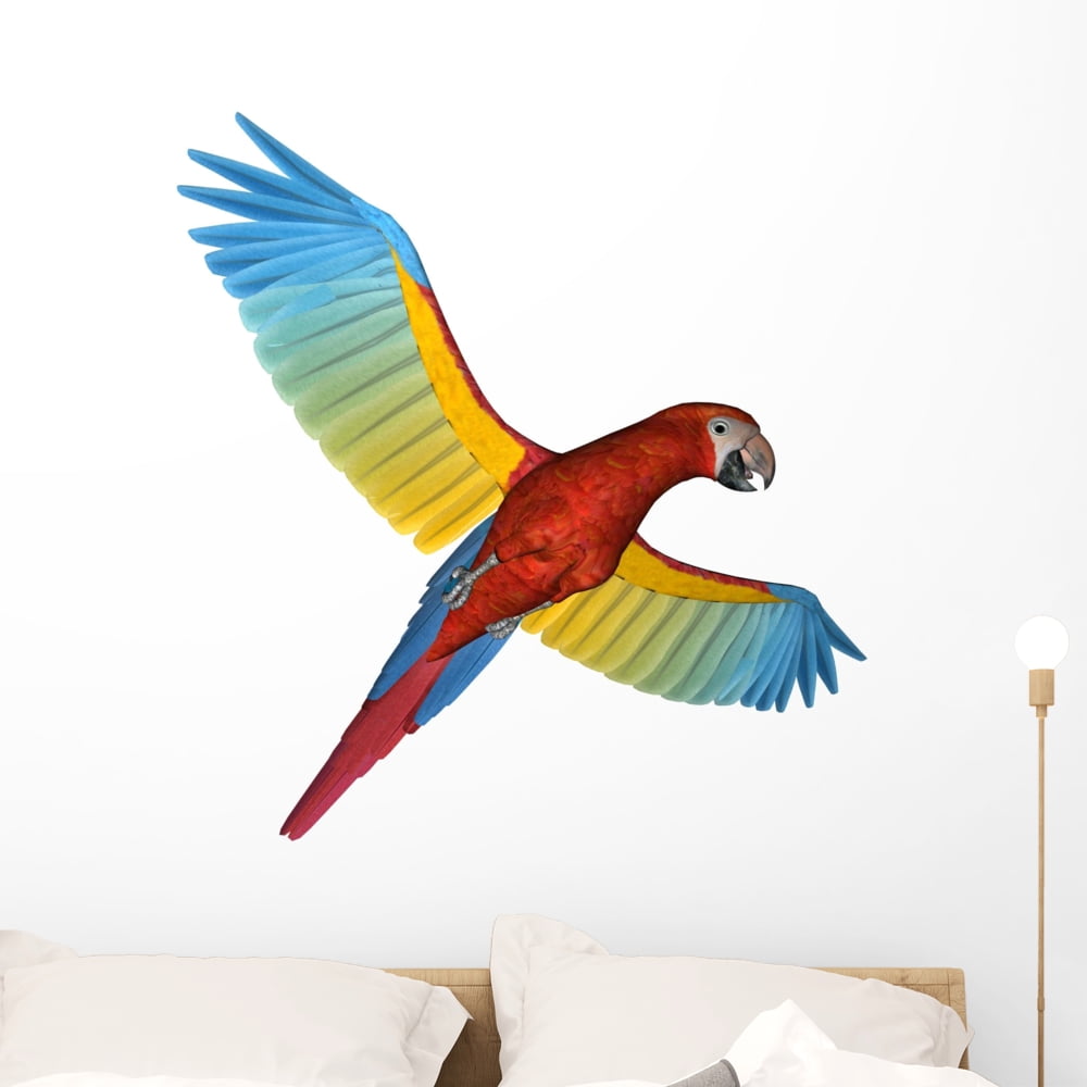 Flying Parrot Wall Decal Sticker by Wallmonkeys Vinyl Peel and Stick ...