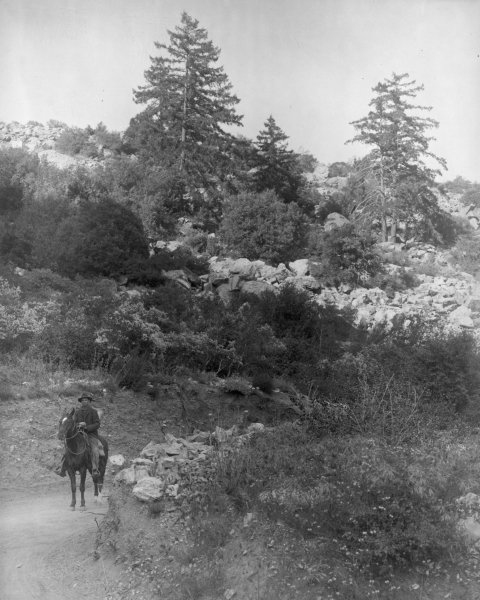 Print: A Forest Ranger, 1909 - Walmart.com