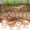 Chicken Activity Play Set - Poultry Run with Wood Stand, Ladder ...