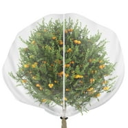 SUNNY OUTDOOR Warm Worth Plant Cover Tree/Shrub Cover Plant Protecting ...