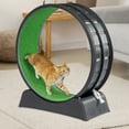 CZMDZH Cat Exercise Wheel, 30-Inch Large Cat Treadmill for Indoor Cats ...