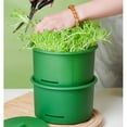 Round Green Sprouting Jar Reusable BPA-Frees Germination Container For ...