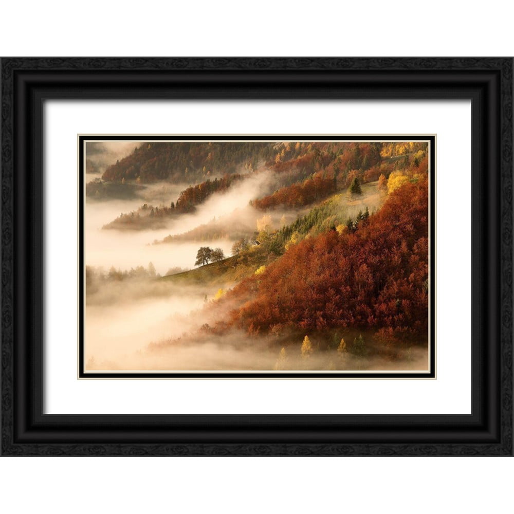 Bor 24x17 Black Ornate Wood Framed with Double Matting Museum Art Print ...