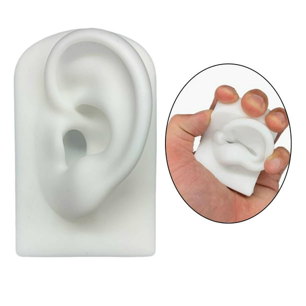 Modelo de oreja, accesorios de práctica, modelo de oreja suave de ...