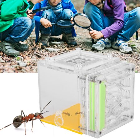 Wchiuoe Insects Box Ant Farm Acrylic Ant Watching Breeding Box ...