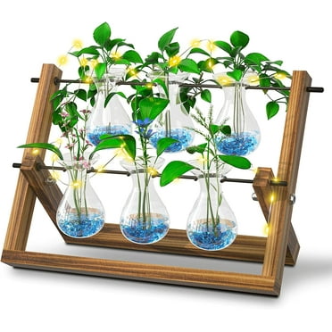 Unique Gardener - The Succulent Star Mouse - Indoor Micro-Gardening Kit ...