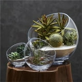 Clear Glass Slant Cut Tilted Angled Decorative Serving Bowl, Plant ...
