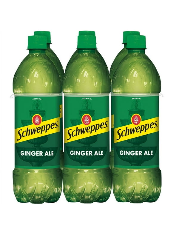 Ginger ale in Soda Pop - Walmart.com