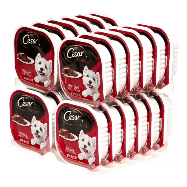 Cesar Dog Food Packs