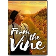 The Secret of Roan Inish (DVD), Samuel Goldwyn Films, Drama - Walmart.com