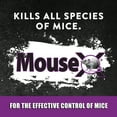 MouseX Ready-to-Use Mouse Killer Bait Trays, 2 Count - Walmart.com