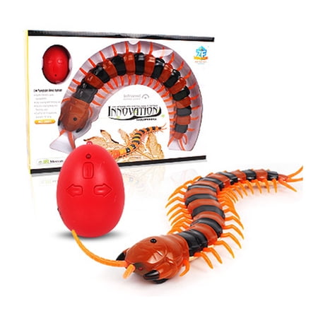 Clairlio Remote Control Centipede Cat Interactive Toys with Egg Funny ...
