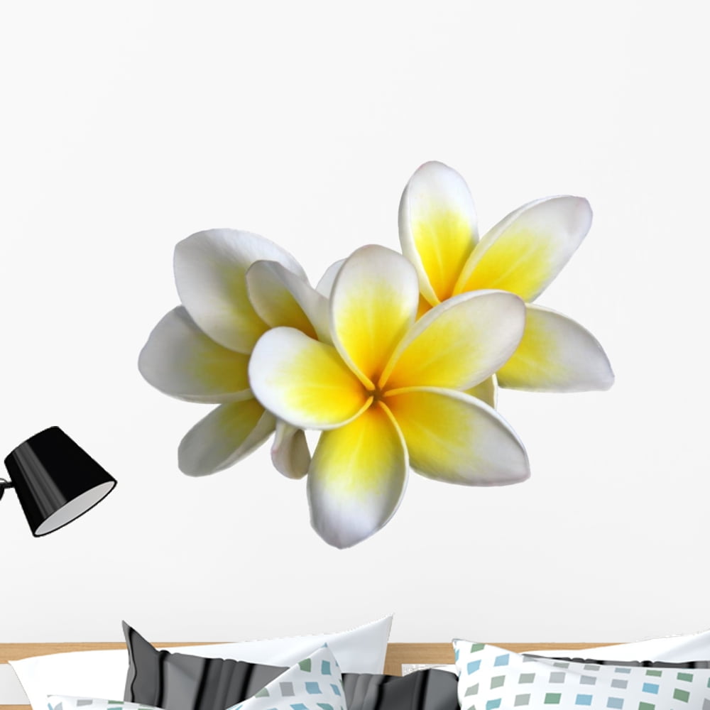 Frangipani Flower Wall Decal by Wallmonkeys Peel and Stick Graphic (36 ...