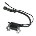 Ignition Coil Spark Plug For 173cc 212cc Harbor Freight Engine Predator ...