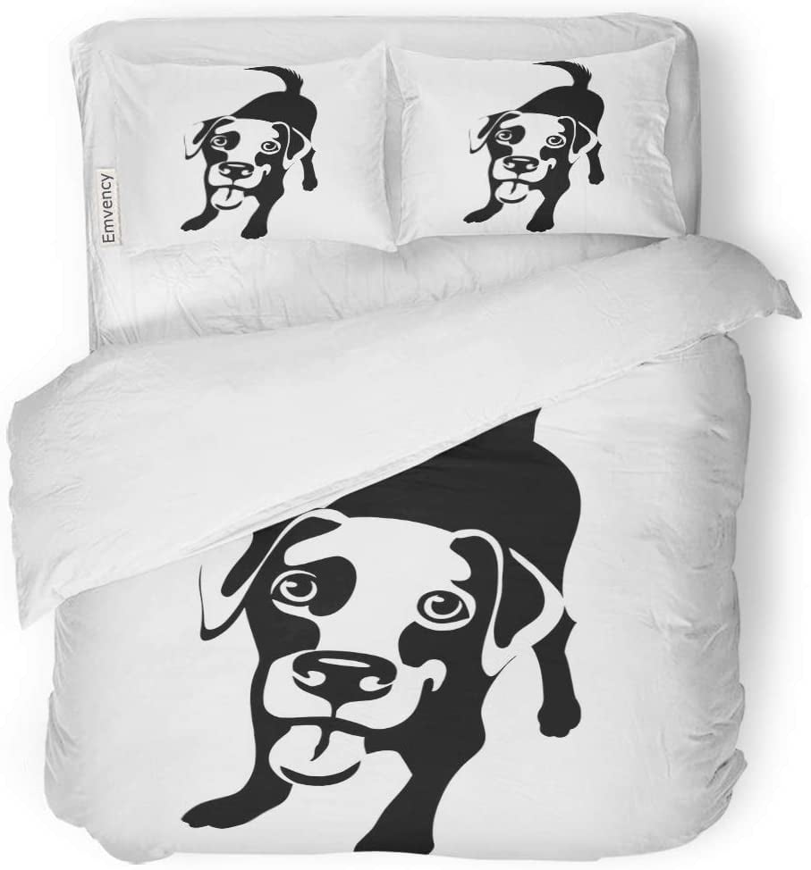 What Size Bed Would A Black Labrador Need