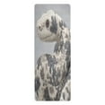 BZSMCE Yoga Mat Women Fitness Mat Floral Snake Pattern - Walmart.com