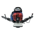 Twinstorm Outdoor Gas Powered Dual Cannon Leaf Backpack Blower ...