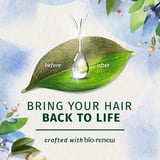 Herbal Essences Bio:Renew Blue Ginger Shampoo, Refresh & Volumize, 13.5 ...