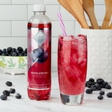 Low Calorie Clear American Huckleberry Sparkling Juice, 17 fl oz Bottle - Walmart.com