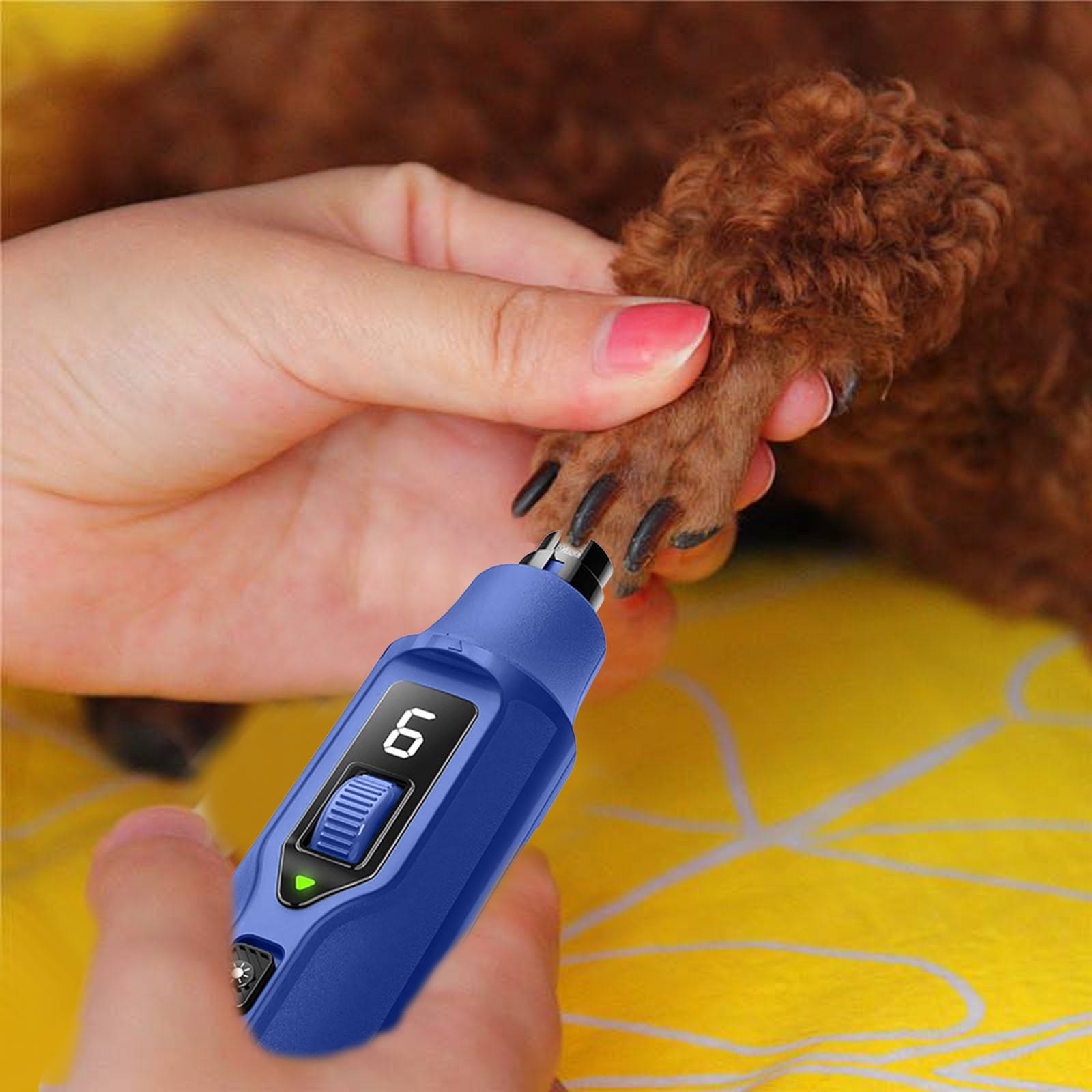 Click here for Vivavault Pet Supplies Efficient 7-Speed Powerful... prices