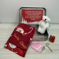 Mini Bear Plush Toy Christmas Pocket Bear Hug in a Tin Box Little Bear ...