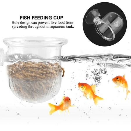 Small Glass, Cup Fish Red Feeder Cups Plant Feeding For AquariumS ...