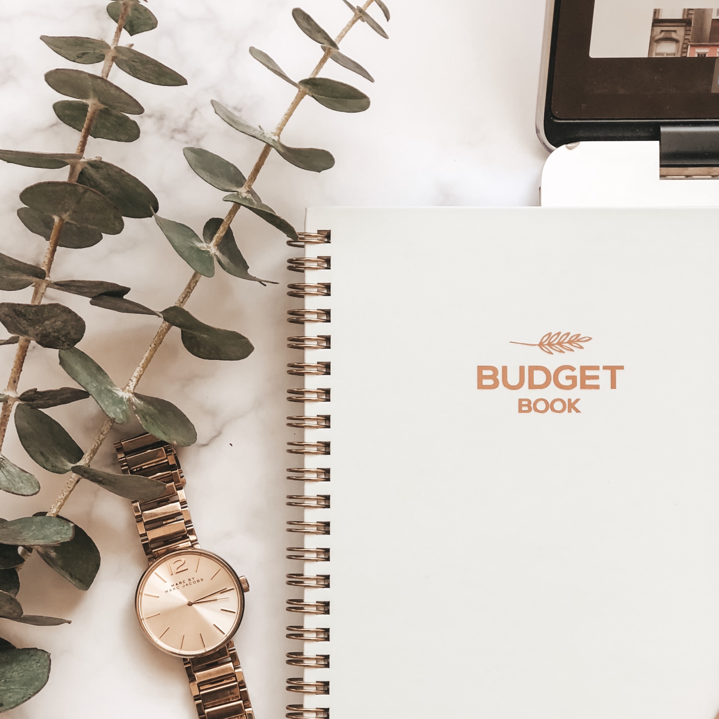 Monthly Weekly Budget Planner Organizer Financial Budgeting Book