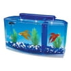 PENN-PLAX Deluxe Triple Betta Bow Tank Kit – 0.7 Gallon in Blue ...