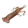 NeveLance Mantis Shrimp Model Solid Vivid Simulation Shrimp Model for ...