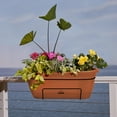 Bloem 18-in Self-Watering Balcony Box Planter, Terra Cotta, Plastic ...