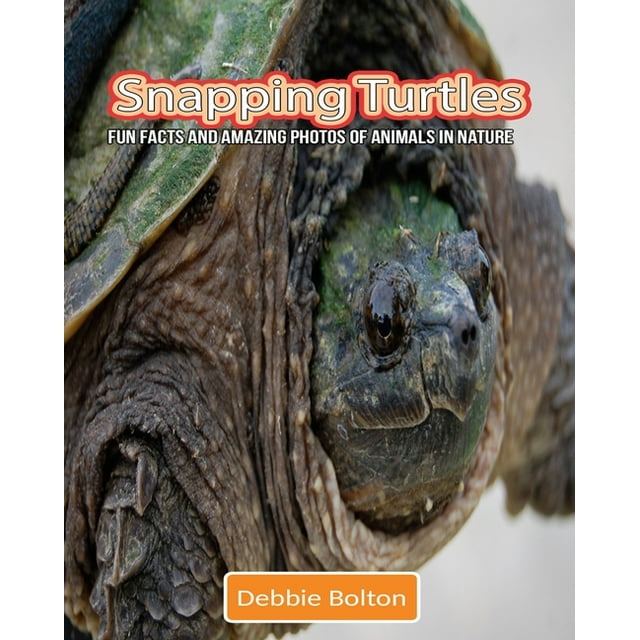 Snapping Turtles : Fun Facts and Amazing Photos of Animals in Nature ...