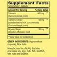 Spring Valley Turmeric Curcumin with Ginger Powder Dietary Supplement ...