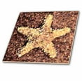 3dRose Gold Starfish- Nature- Ocean Art- Beach Art - Ceramic Tile, 6 ...