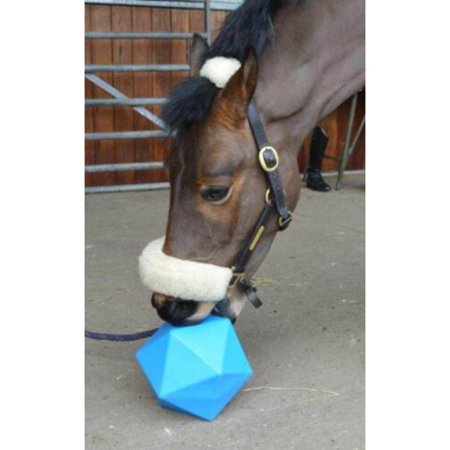 Horse Treat Ball Equine Hay Equine Paddock Rest Horse Ball Feeder ...