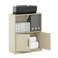 Furinno Gruen 2-Tier Open Shelf Bookcase with 2 Doors Storage Cabinet ...