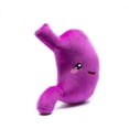 Stomach Plush Organ Toys- I’ve Gut a Good Feeling About This ...