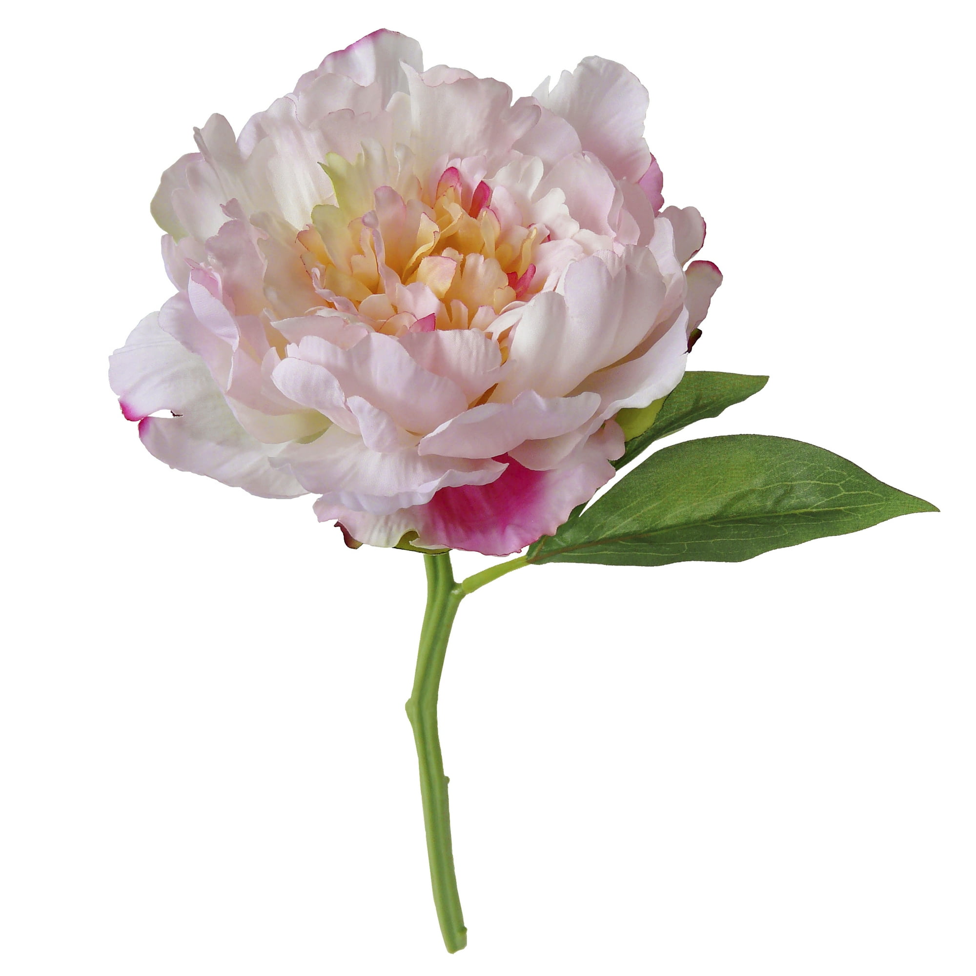 Click here for Mainstays Artificial Peony Stem prices