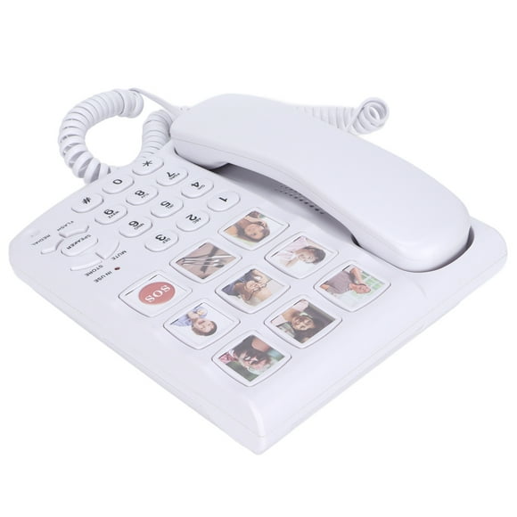 large number phones for seniors